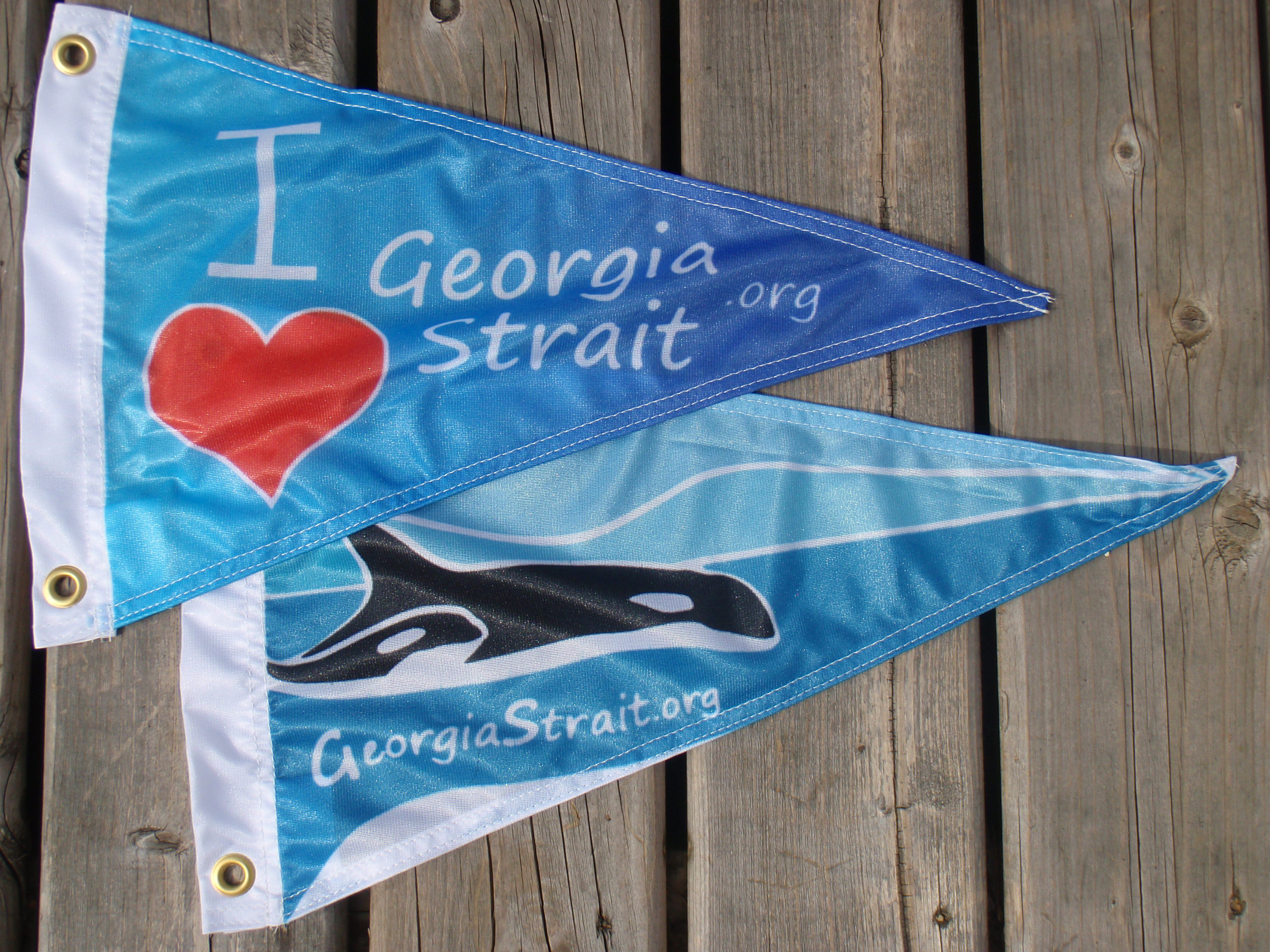 Show your Georgia Strait pride! • Georgia Strait AllianceGeorgia Strait ...