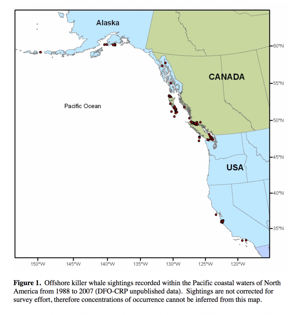 Offshore Killer Whales • Georgia Strait AllianceGeorgia Strait Alliance