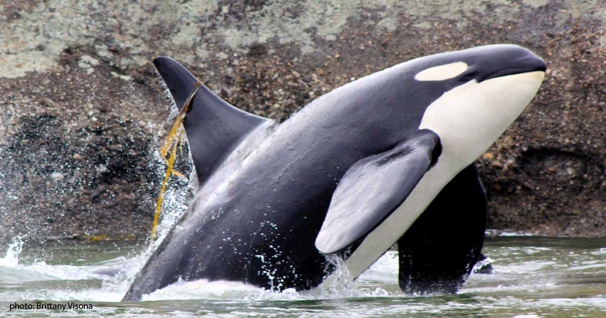 Why I am committed to stopping new pipelines and climate change ...