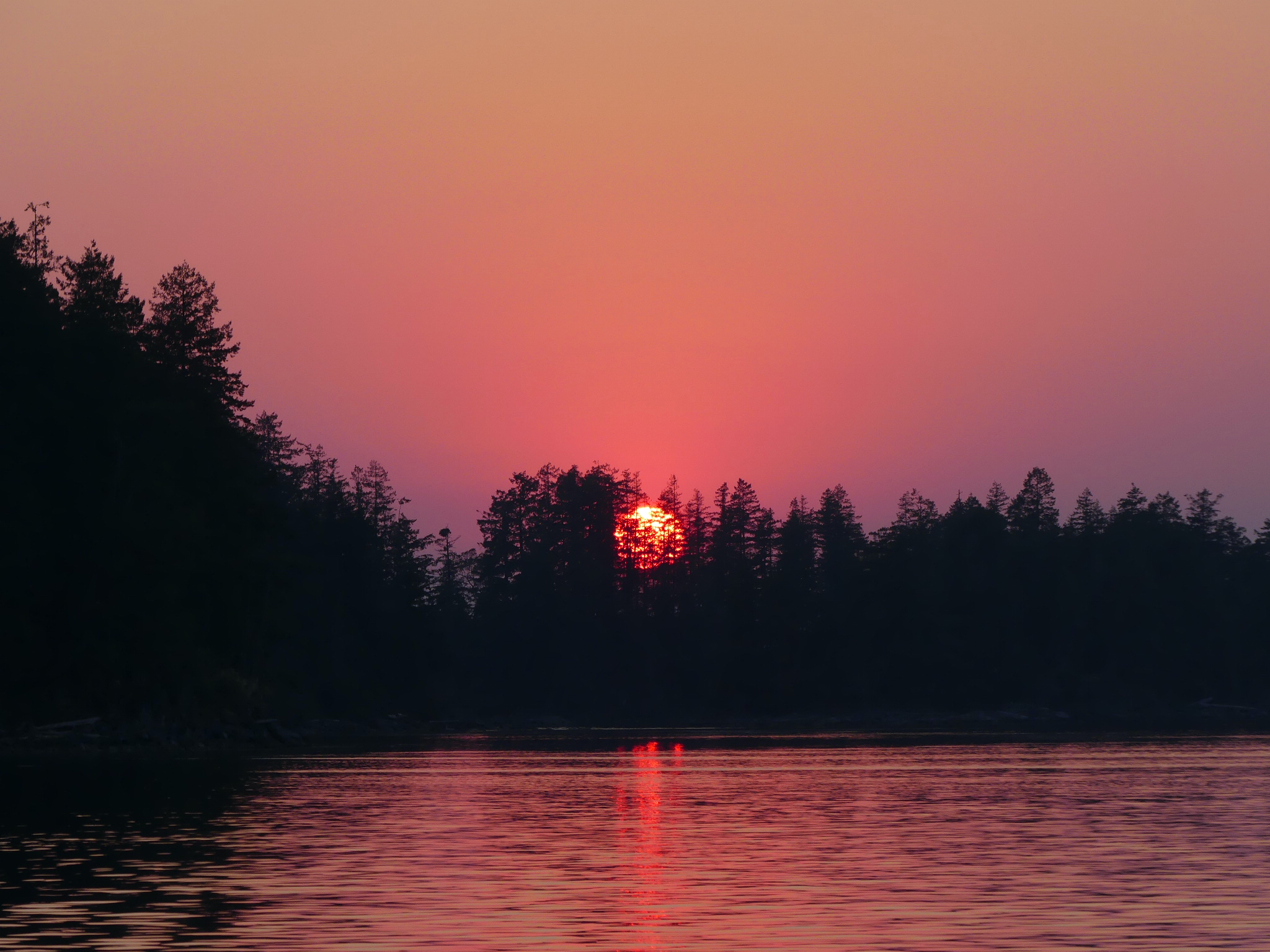 Gallery: #LoveTheSalishSea 2021 Photo Contest • Georgia Strait ...