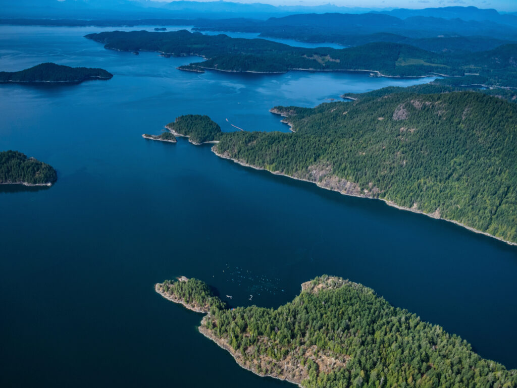 Home • Georgia Strait AllianceGeorgia Strait Alliance