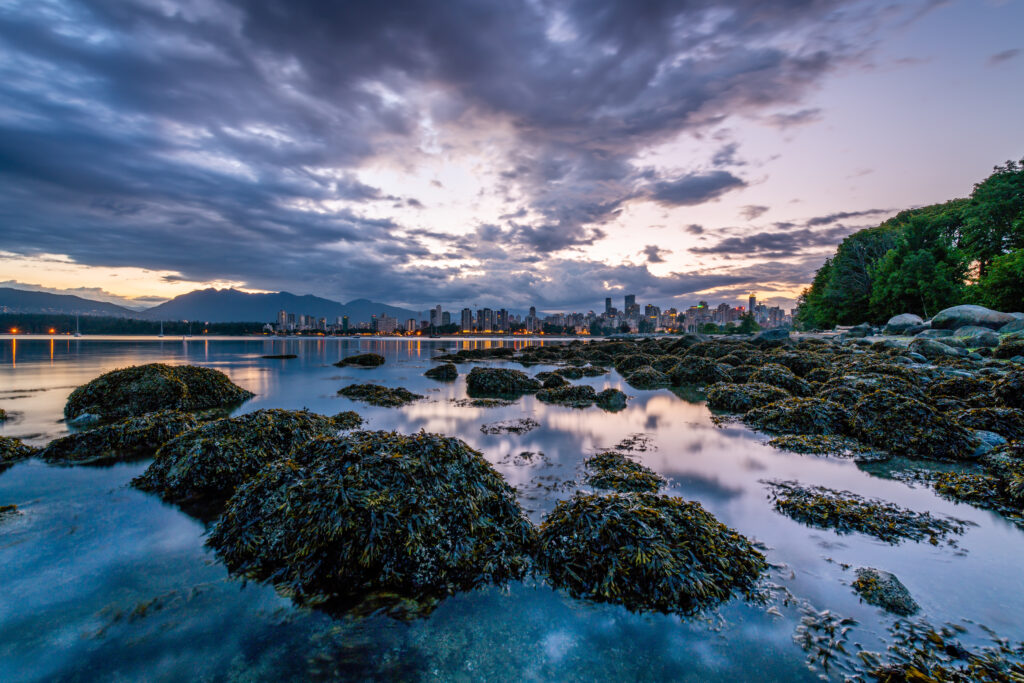 About Us • Georgia Strait AllianceGeorgia Strait Alliance
