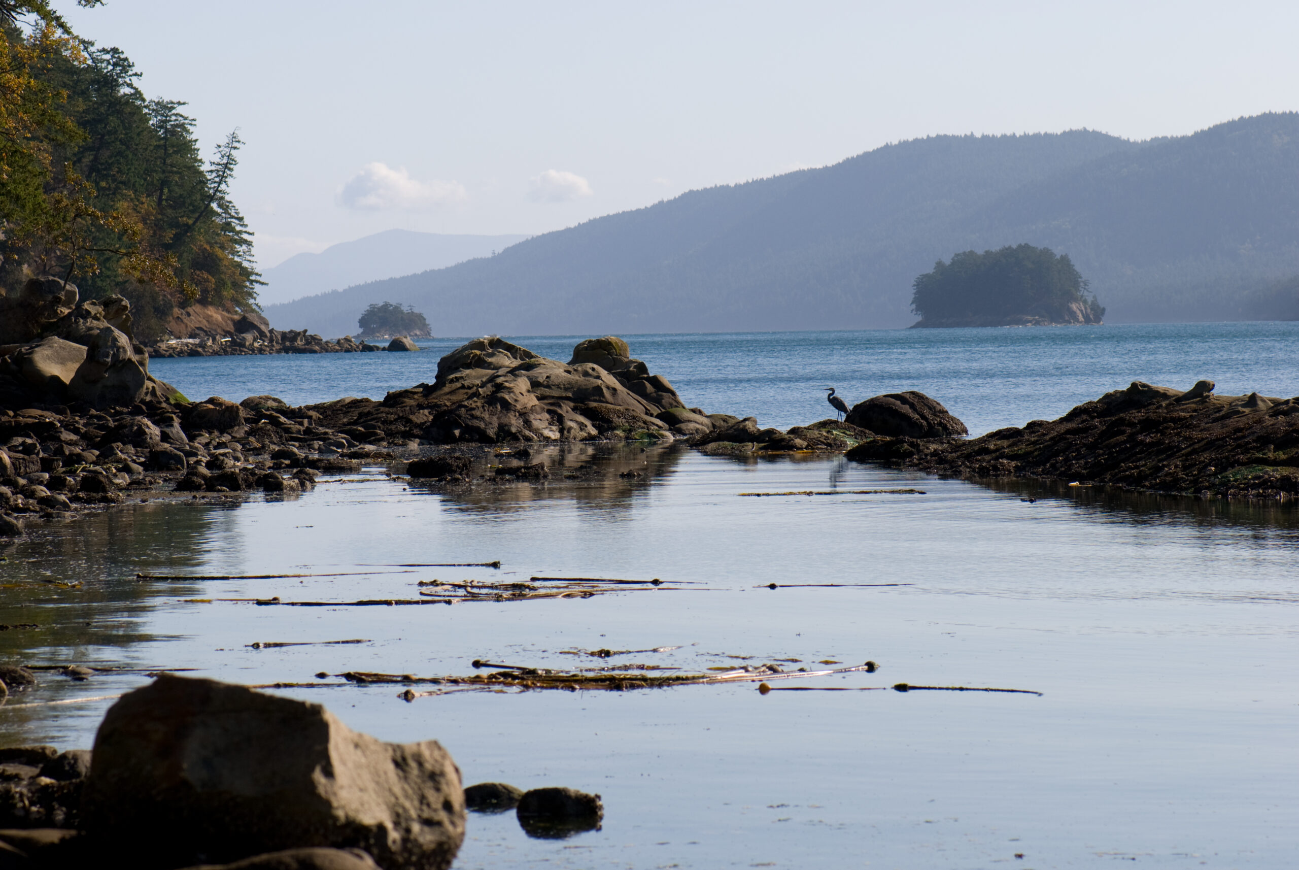 Home • Georgia Strait AllianceGeorgia Strait Alliance