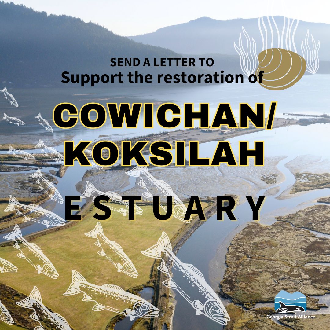 Support the restoration of Cowichan/Koksilah estuary • Georgia Strait ...