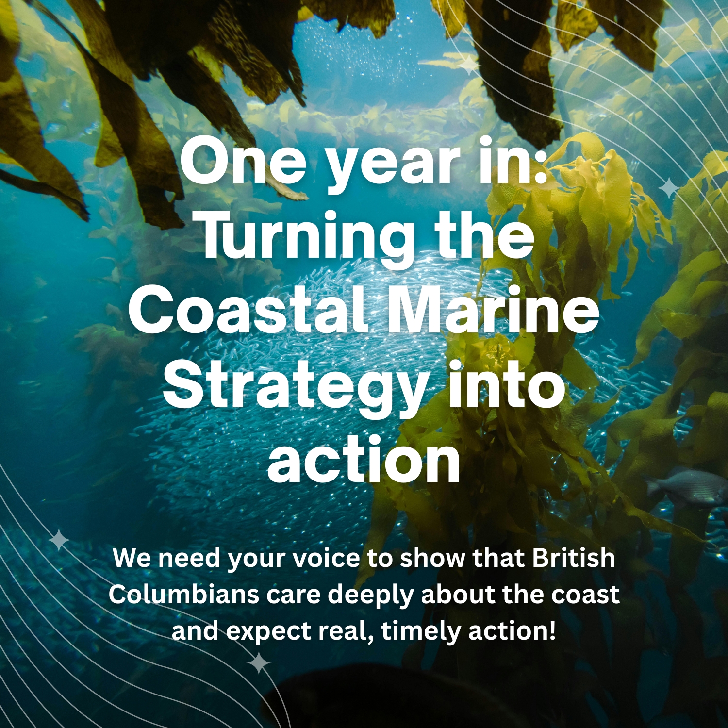 One Year In: Turning the Coastal Marine Strategy into Action • Georgia ...